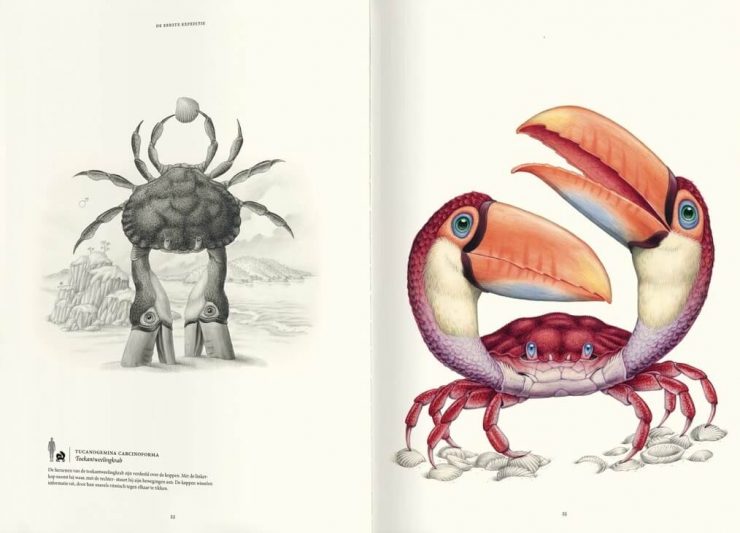 Terra Ultima recensie – De ontdekking van een onbekend continent